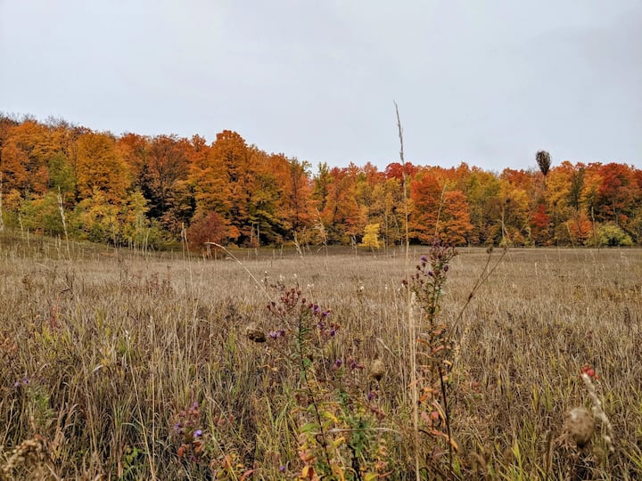 Elegant 4br Retreat| Golf • Spa • Private & Serene - Hockley Valley, ON