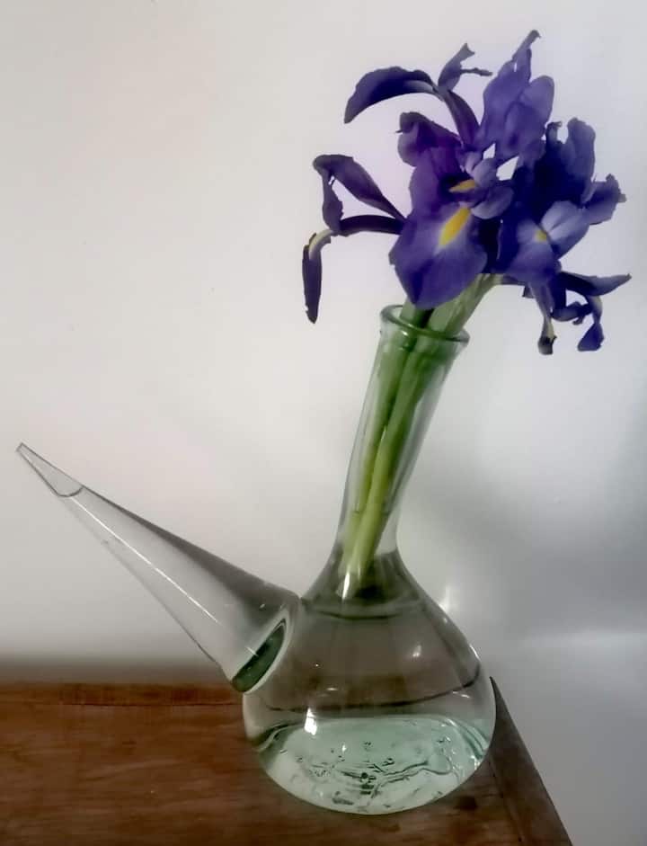 Riad Tagore Privé,petit Déj Inclus à 94mbit/s - Fes