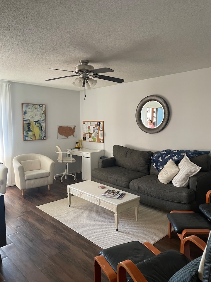 Downtown Greenville Historic District Vacation/corporate Condo! - Greenville, SC
