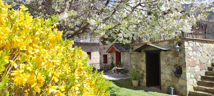 Apartamento Perdiguero+ Jardín - Benasque