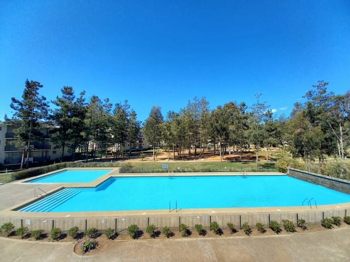 Departamento En Algarrobo - Algarrobo