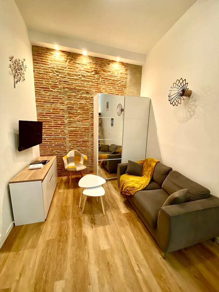 T2 Loft, Au Cœur Du Vieux Toulouse Bourgeois. - Toulouse