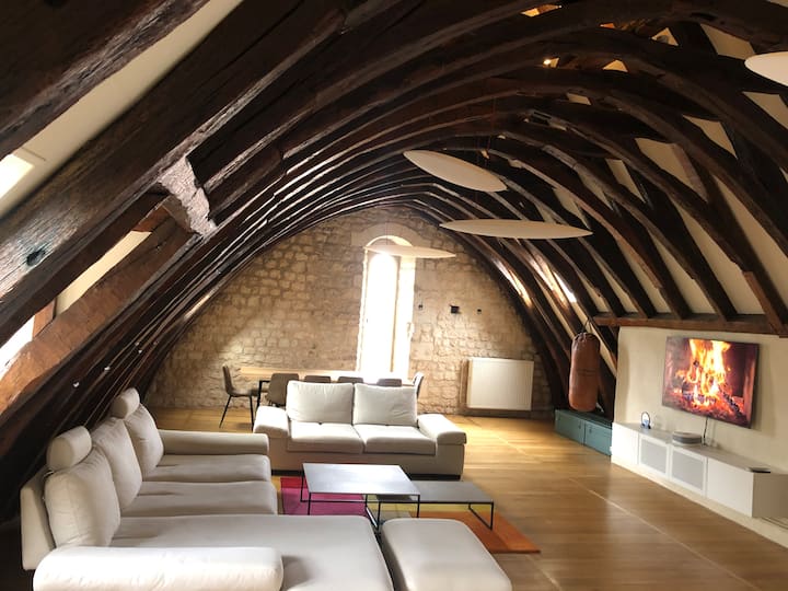 Grand Appartement Atypique - Poitiers