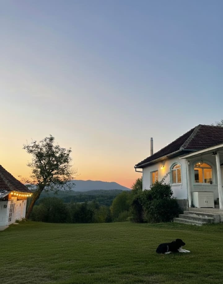 Mystic Twistic - Hunedoara