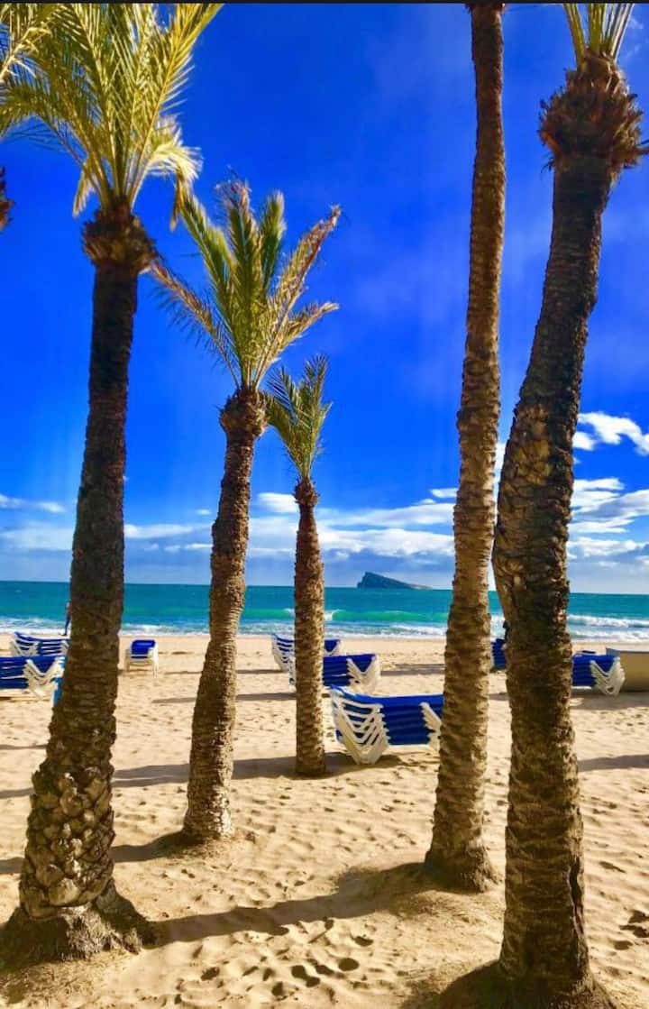 Apartamento En Benidorm Playa, California - Benidorm