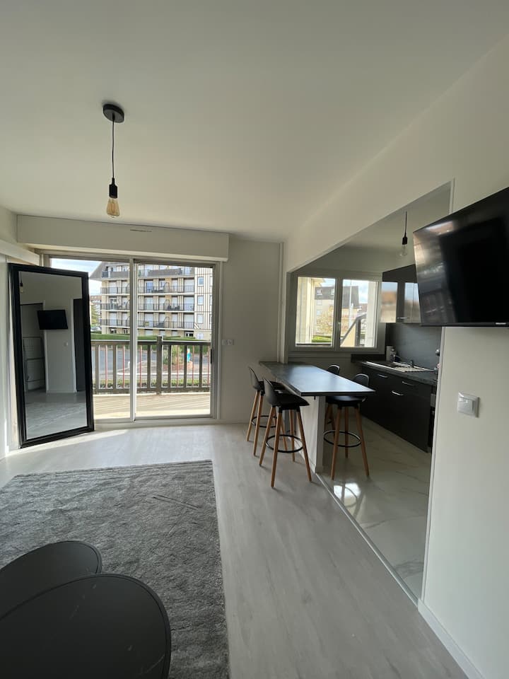 Grey Bel Appartement Coté Mer ! - ibis Styles Deauville Villers Plage