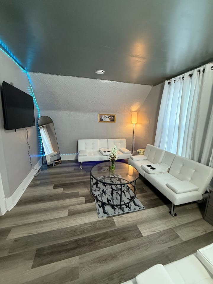 Newly Renovated Gem In Downtown - Buffalo, NY
