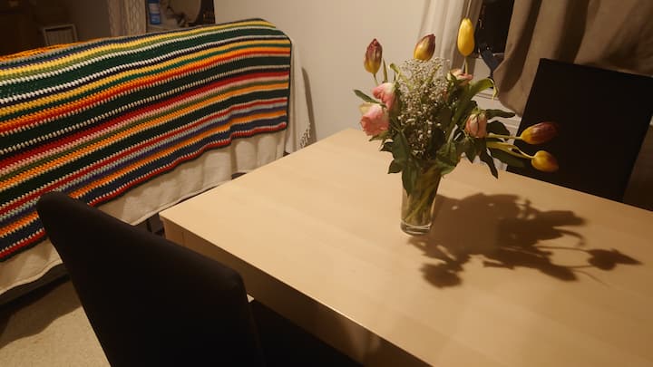 Appartement Neuville Centre - Saint-André-de-Corcy