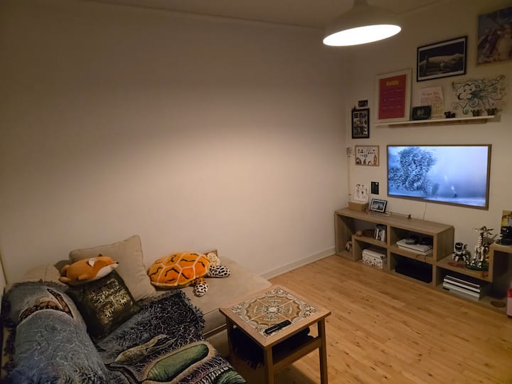 Cozy Bedroom With Tv -