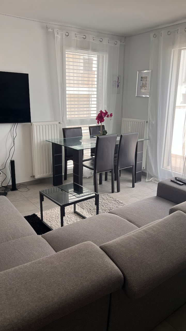 Appartement De Haut Standing - Lyon