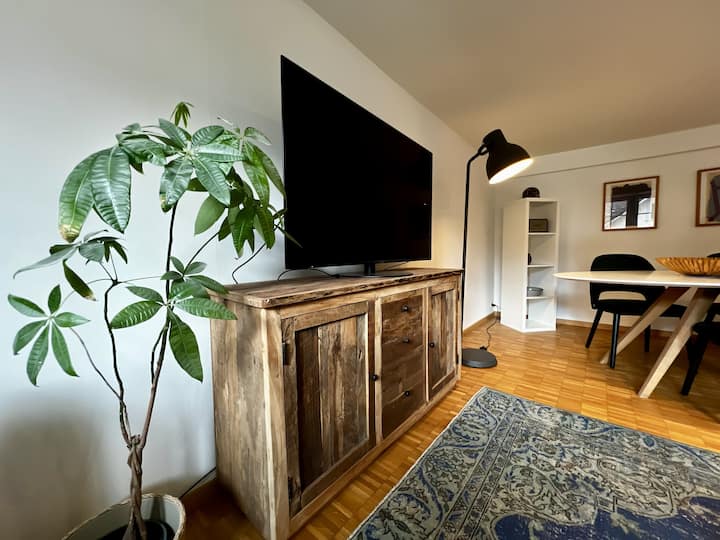 Zurich Oldtown: Cozy Apartment - Zurique