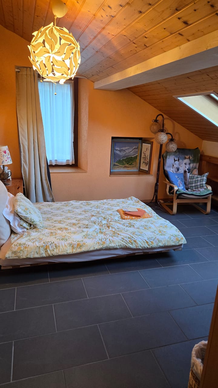 Chambre Spacieuse - Yverdon-les-Bains