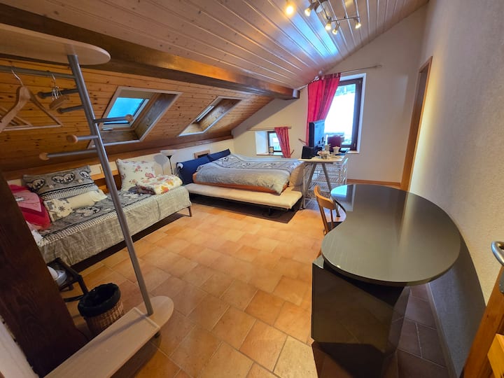 Chambre D’hôte Spacieuse Et Calme - Yverdon-les-Bains