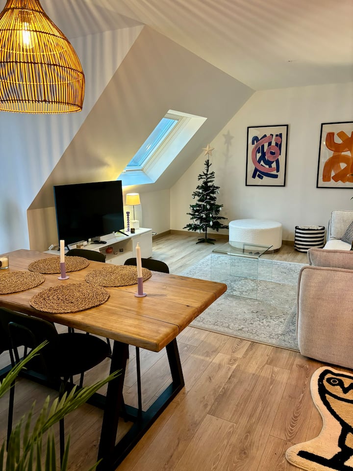 L'appartement Des Cowboys à Strasbourg - Estrasburgo