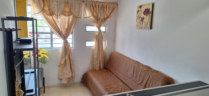 Zona Y Ubicación Excelente - San Luis Potosí