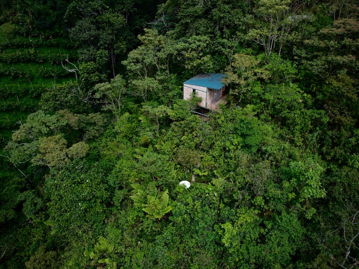 Cabaña En El Bosque C - Chinchiná