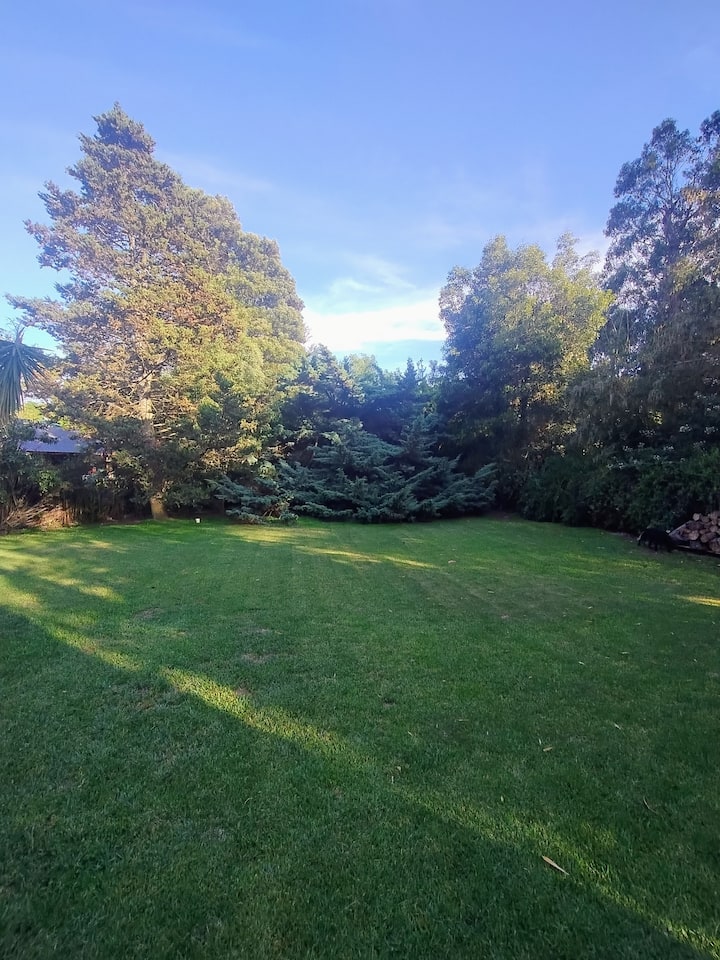 Estilo Campo En El Bosque - 