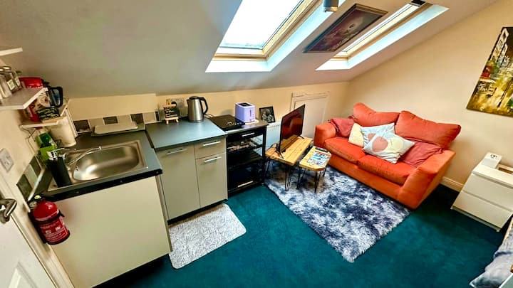 Big Loft Studio Space (Private Kitchen & Bathroom) - Dublin