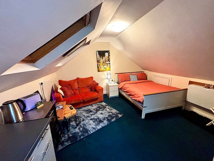 Big Loft Studio Space (Private Kitchen & Bathroom) - Dublin