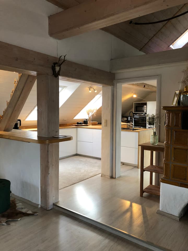 Gemütliches Penthouse Mit Terrasse - Laufen