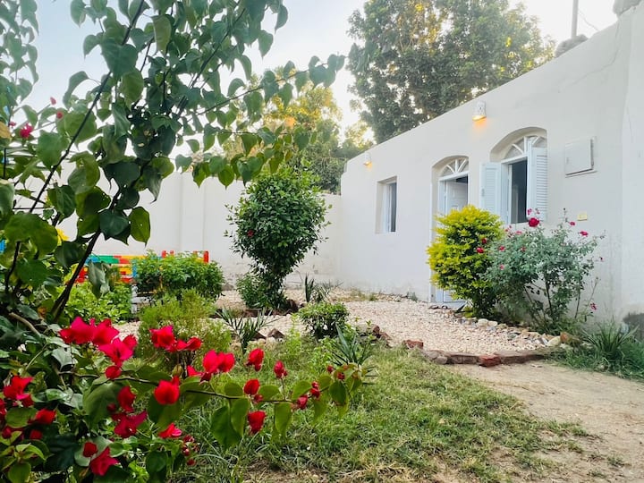 Nile Flower Guest House. - Luxor