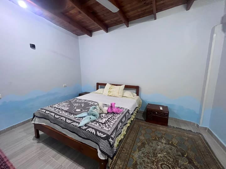 Nile Flower Guest House. - Luxor