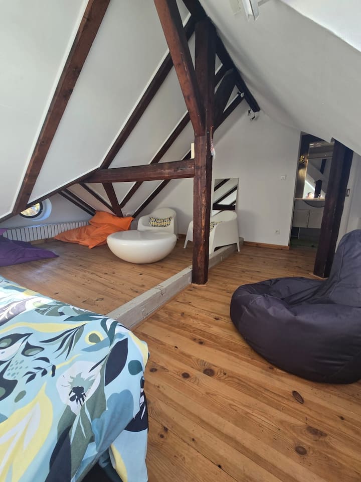 Beau Studio - Quartier Orangerie - Strassburg