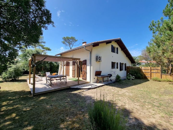 Landes, Nature Sauvage - Labenne