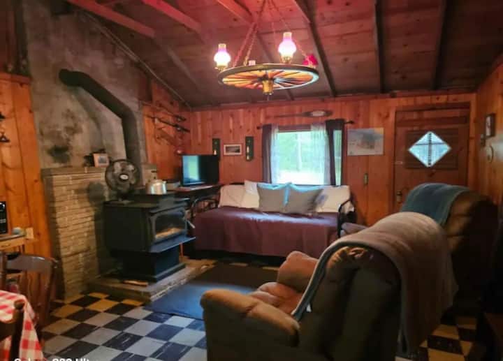 The Hidden Owl - Baldwin, MI