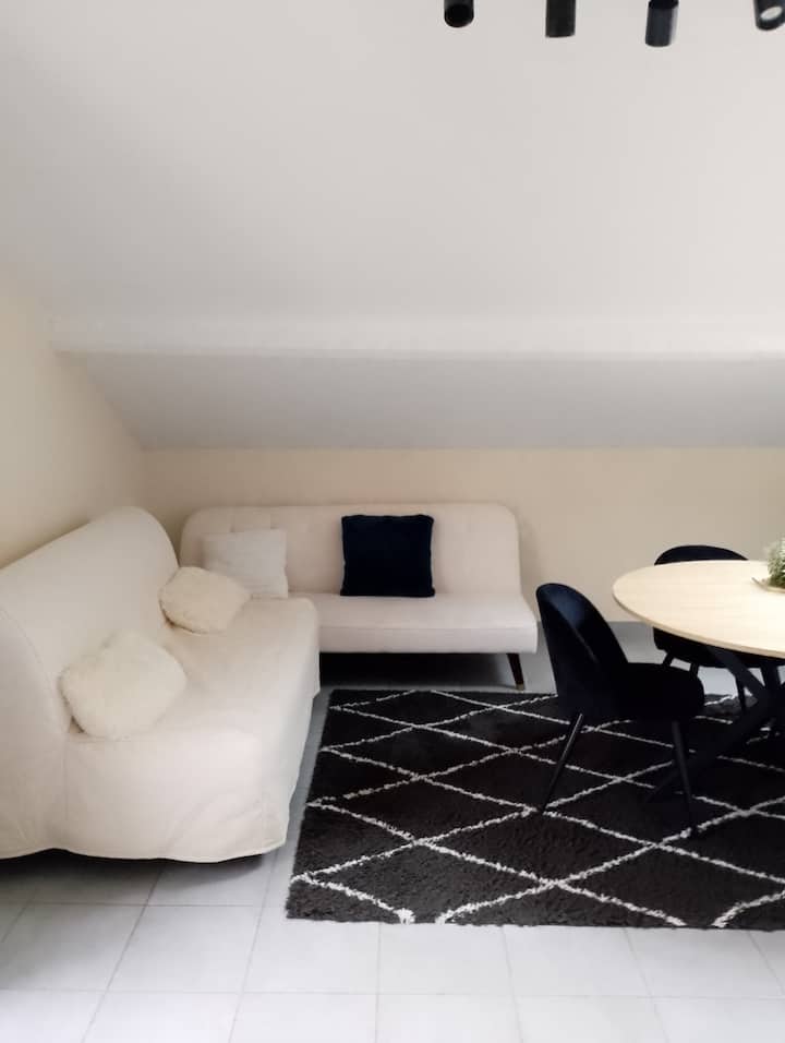 Appartement Proche Gare Meaux Et Bus Disney - Seine-et-Marne
