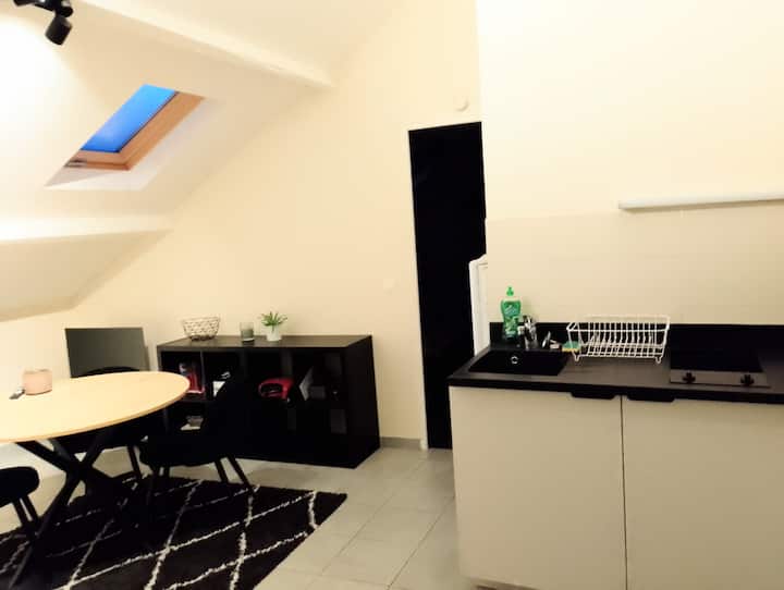 Appartement Et Jardin Proche Disneyland Paris - Meaux