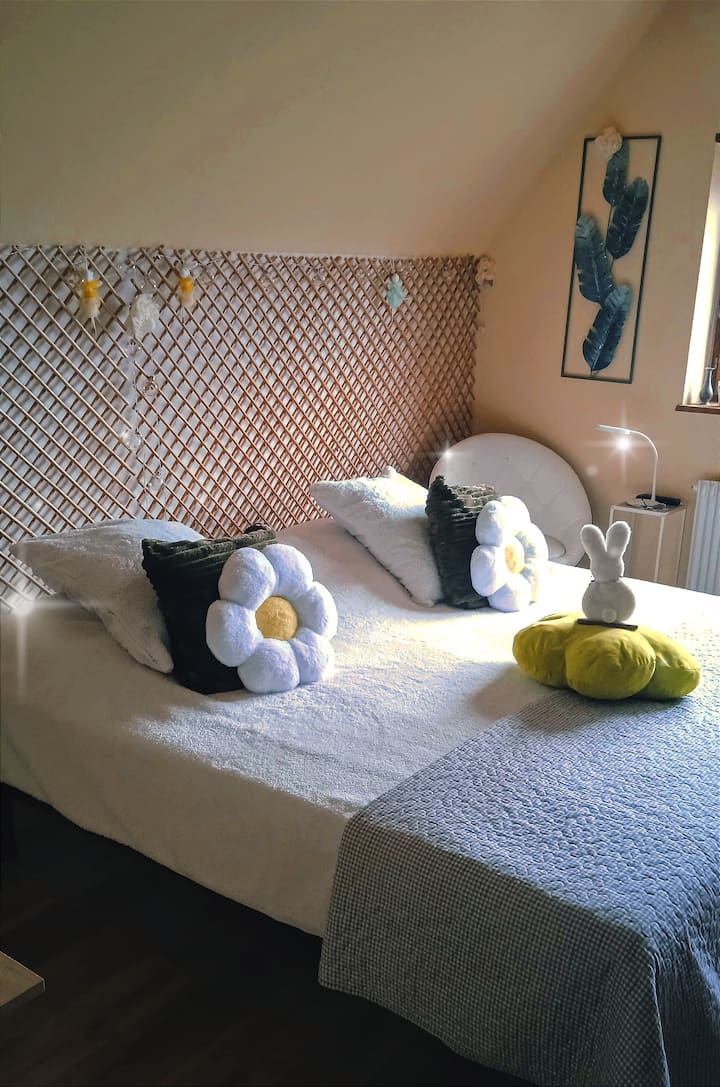 Chambre Cosy+ Salon Convertible 3 Lits En Tout. - Guebwiller