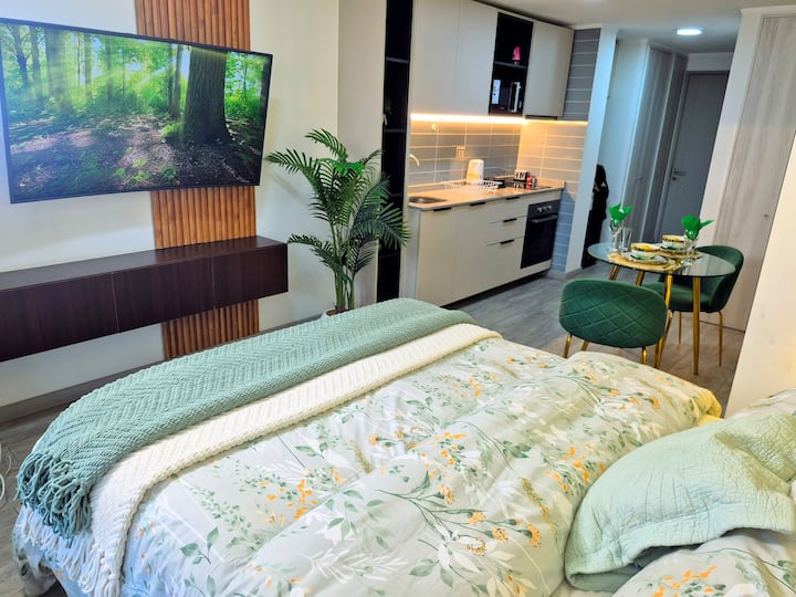 Hermosa Suite, Movistar Arena, Parking Piscina Gym - Santiago, Chile