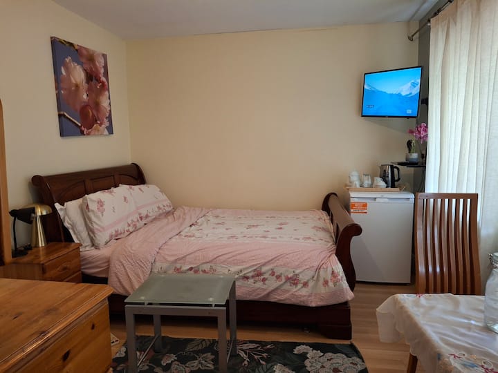 Large Spacious Bedroom In Dublin 15. Either Sex - Dublino