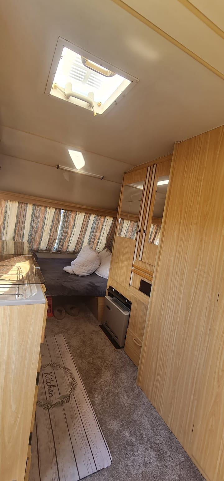 A Warm  Wanaka-ravan - 