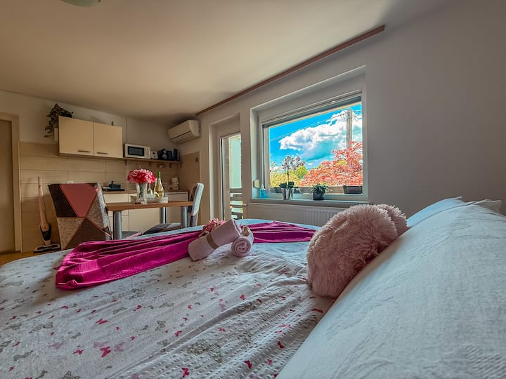 Bled Vista Apt 1/ View And Balcony / Free Parking - Bled