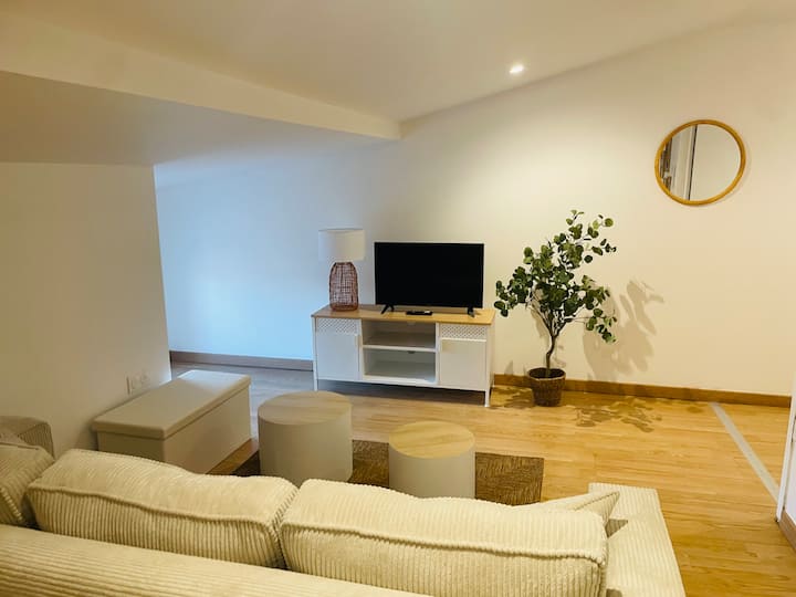 Albert Lll L T2 Proche Zone Mélou - Castres