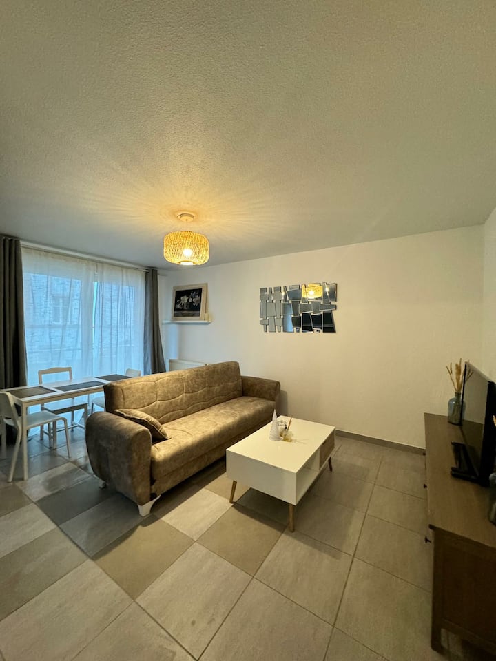 Joli F2 Proche Du Centre-ville - Strasbourg