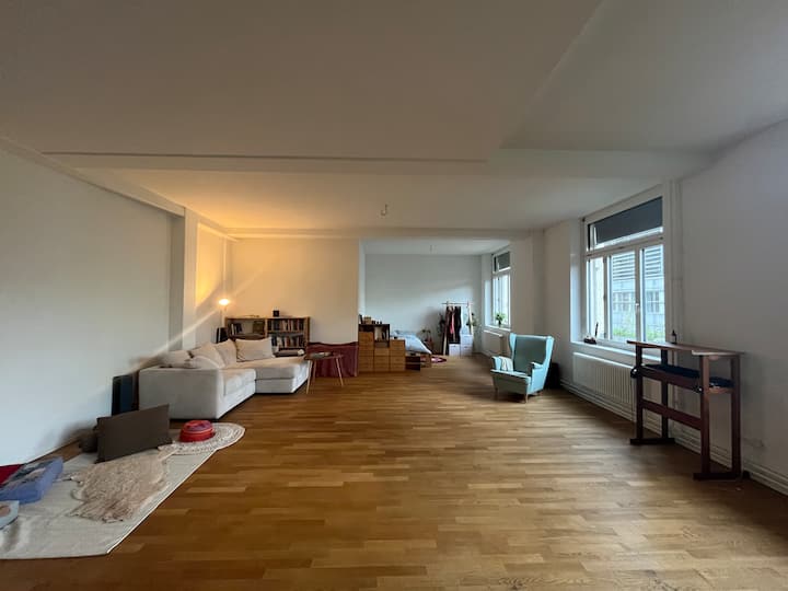 Urbane Helle Lofft Im Zentrum Biel-bienne - Bienne