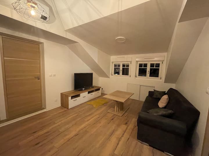 3 Pièces Dans Une Maison Privée 2+ 1 Personnes - Strazburg