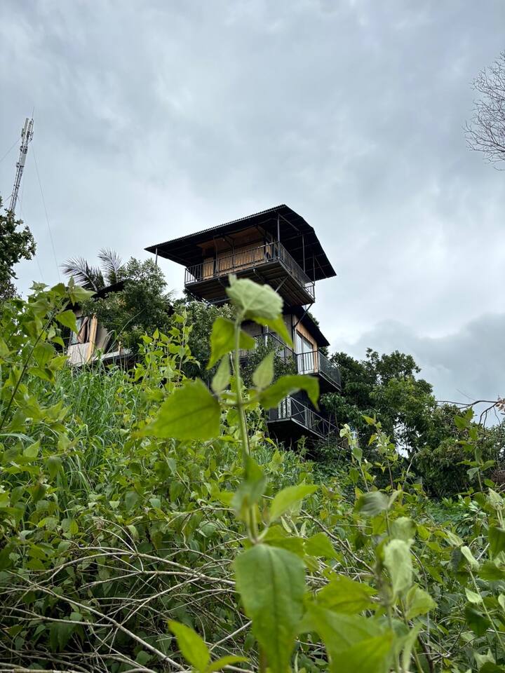 Home Stay Dom House- Thác Voi Nam Ban- Queen - Liên Nghĩa