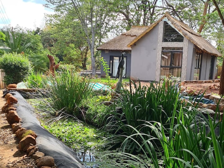 Musha Muharare - Harare