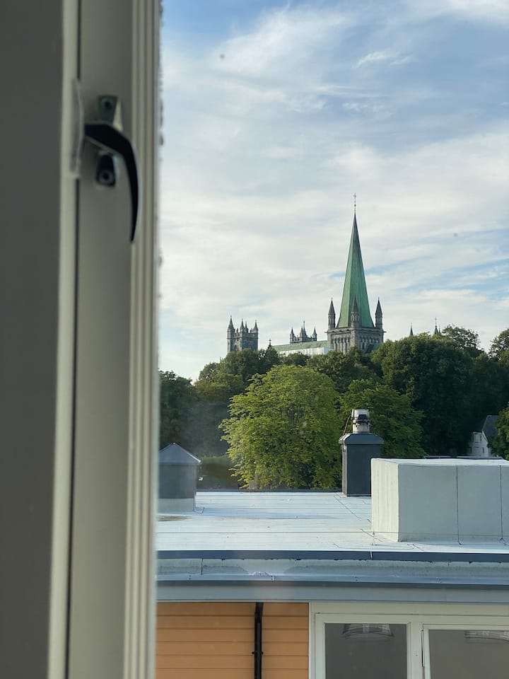 Cosy Two-bedroom In Old Town - Trondheim