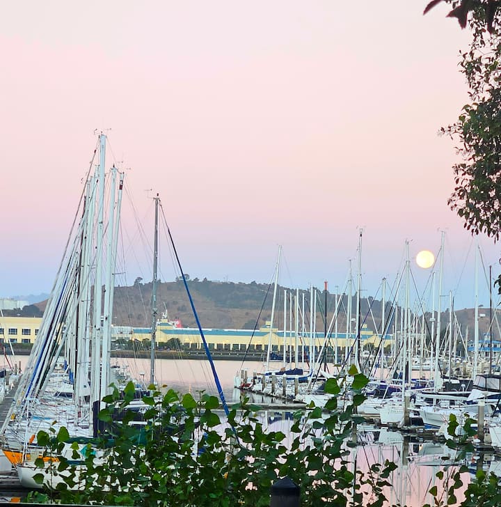 Modern Condo On The Bay - Berkeley, CA
