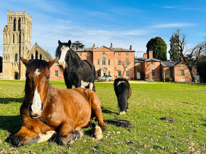 The Animal Hostel -Private Home -Cinema -Parking - United Kingdom