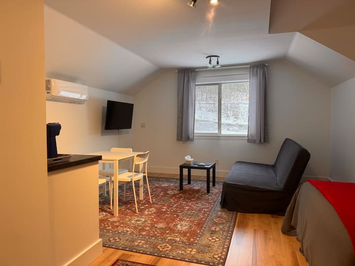 Cozy Loft Near Silver Star Mountain - Armstrong