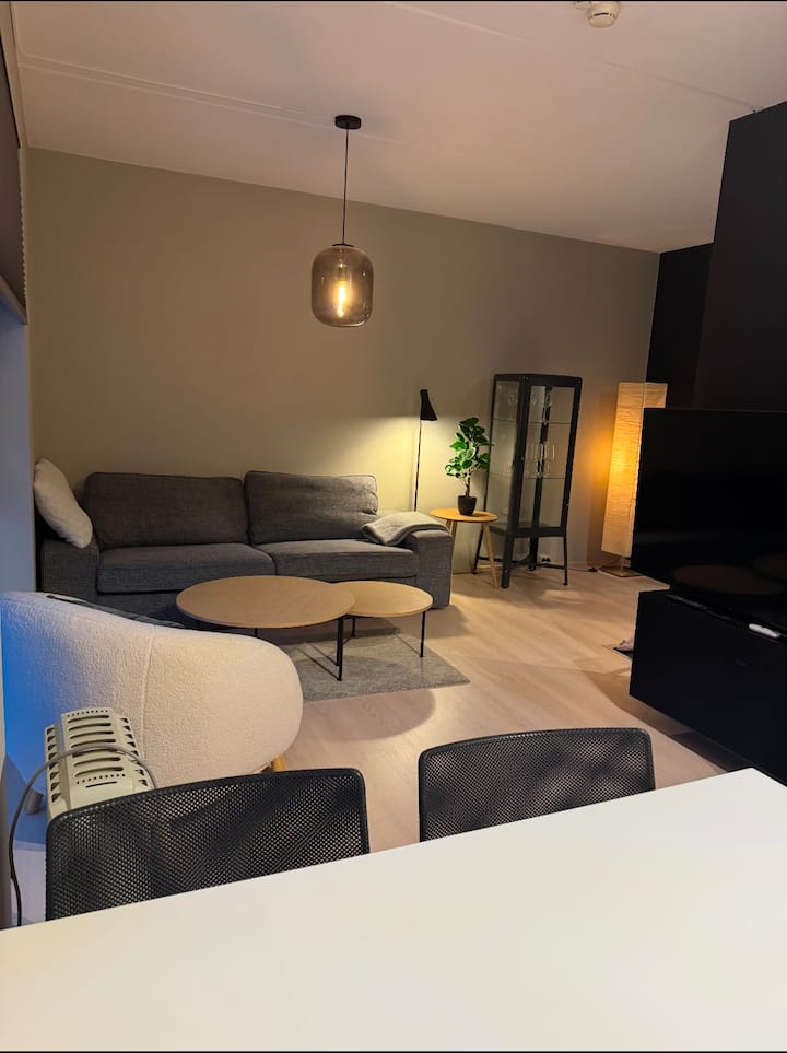 A Modern Nice Cozy Apartment - Tromsø