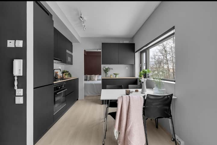 A Modern Nice Cozy Apartment - Tromsø