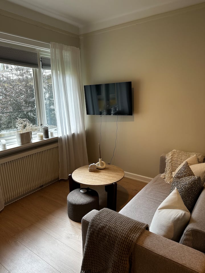 Nyoppusset Studioleilighet - Oslo