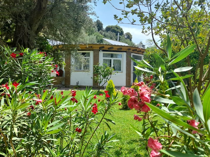 Estudio Escondido - Tijola, Orgiva - Órgiva